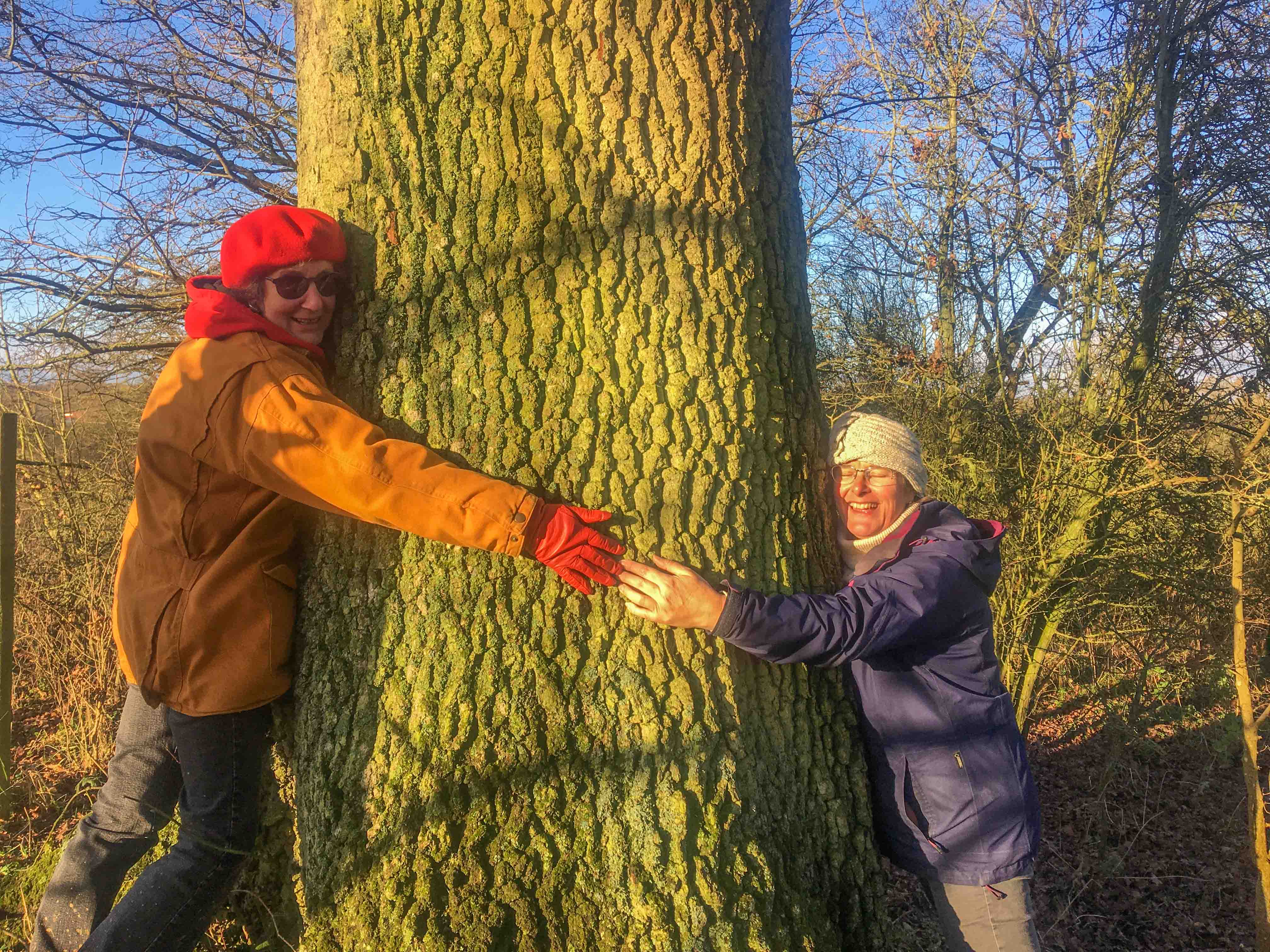 Nature Recovery Network